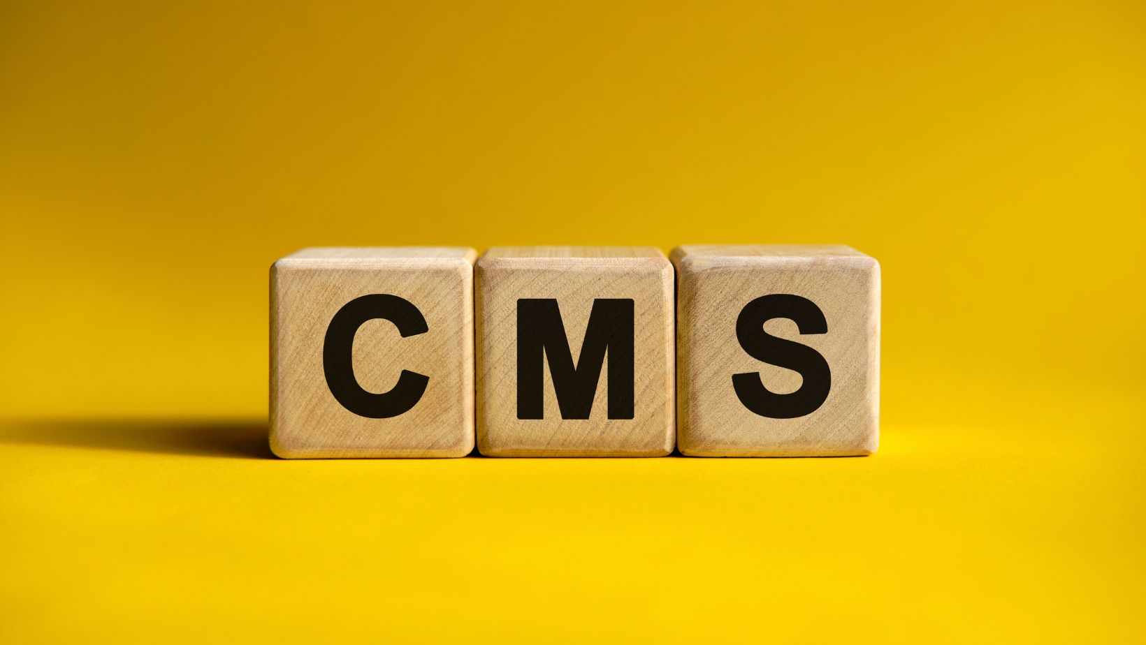 The Role of Headless CMS in Interactive and Immersive Web Experiences - The Hake